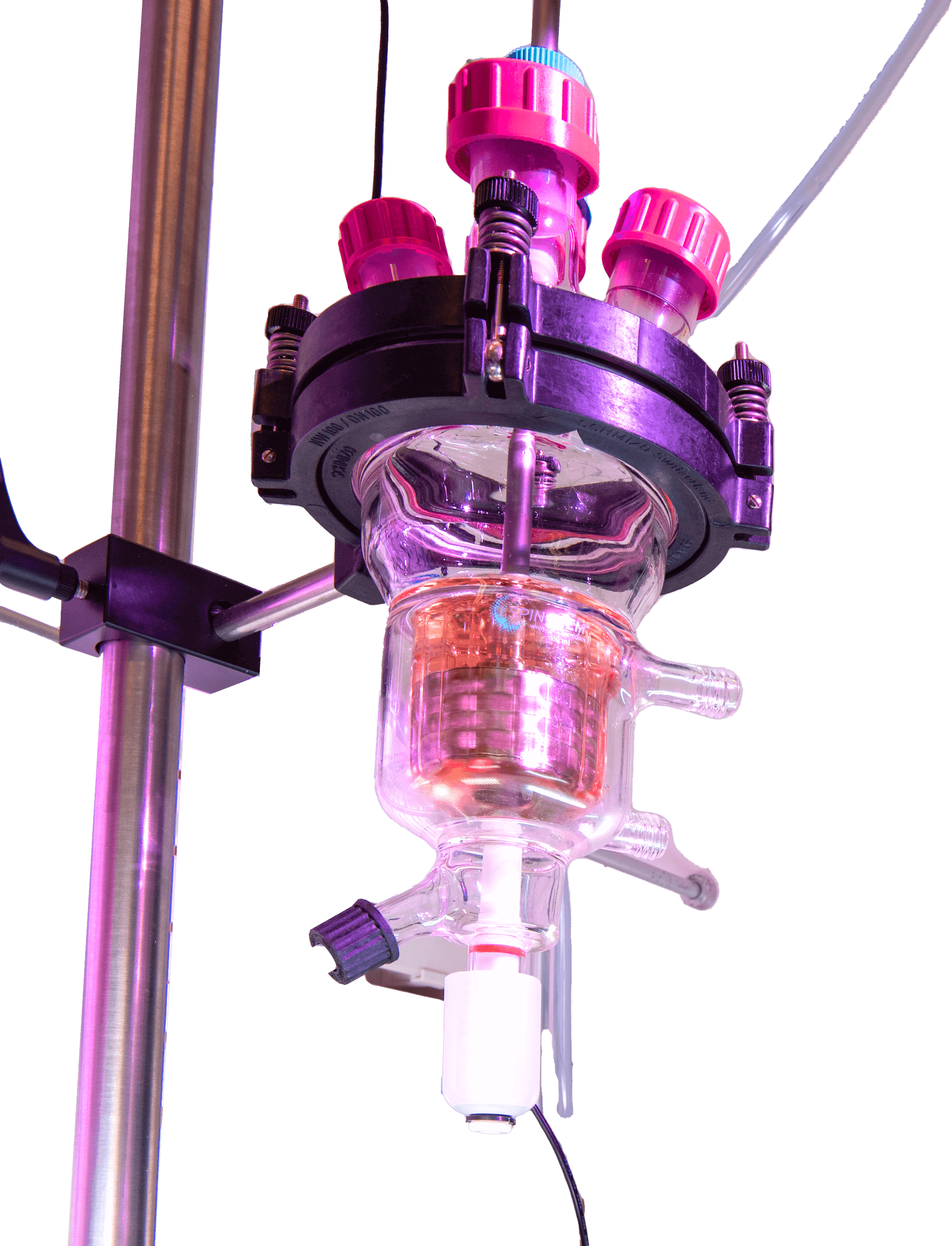 Why VCU? - Virginia Commonwealth University